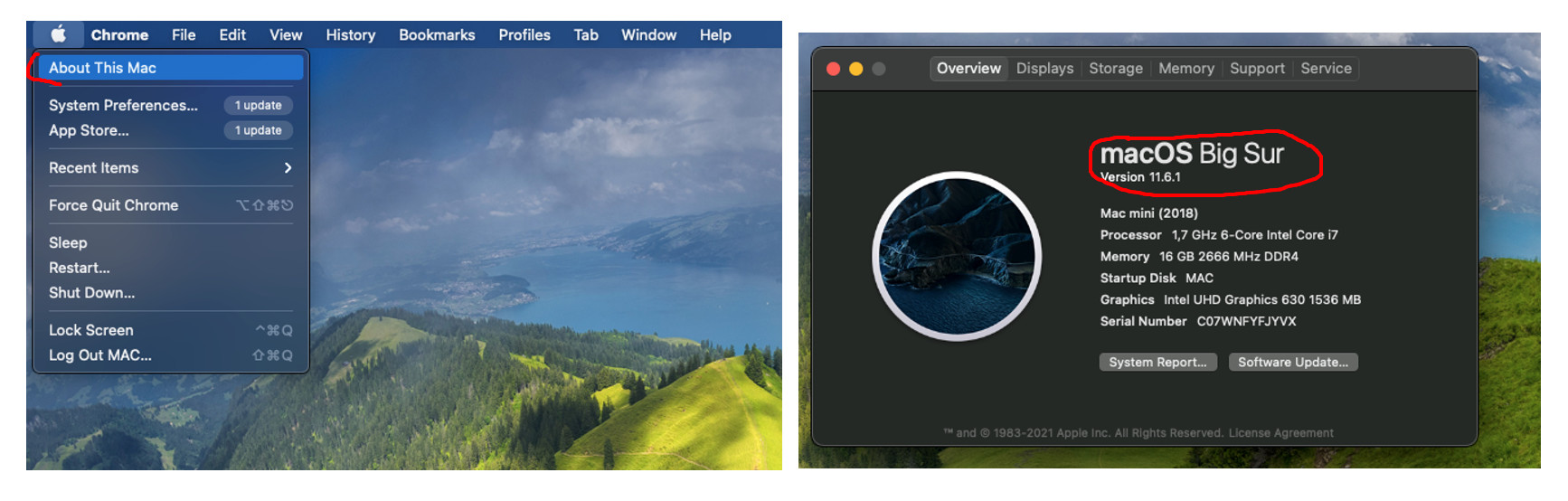 Macos And Compatibility Issues English Book Lovers